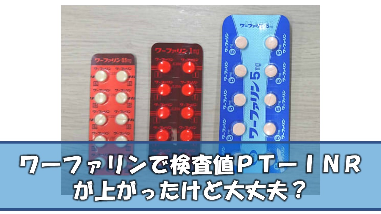 【薬剤師勉強用】ワーファリンで検査値PT-INRが上がったけど大丈夫？｜薬を学ぶ 〜薬剤師国家試験から薬局実務まで〜